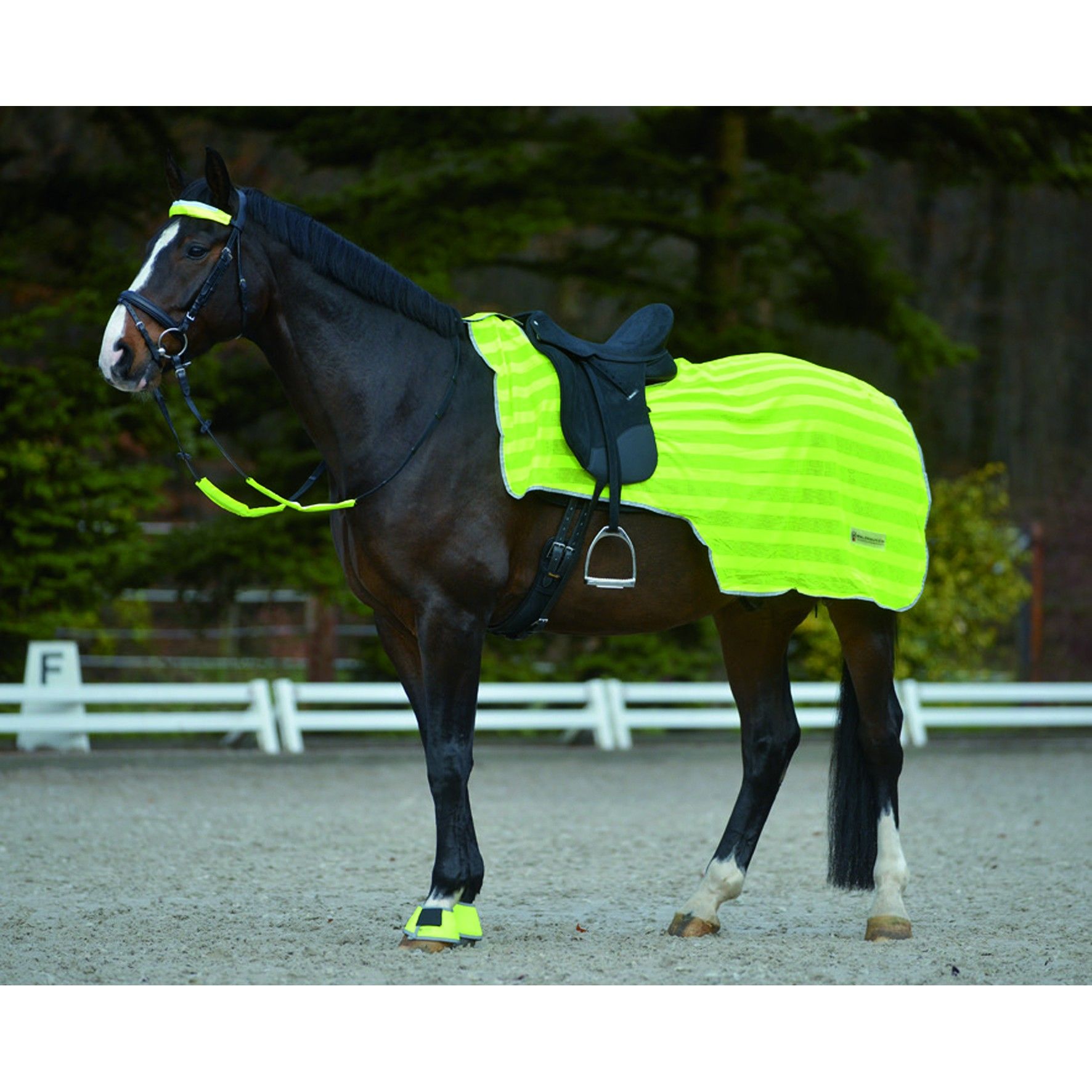 Reflex Nierendecke m.Leuchtstreifen neon gelb | Outdoordecken ...